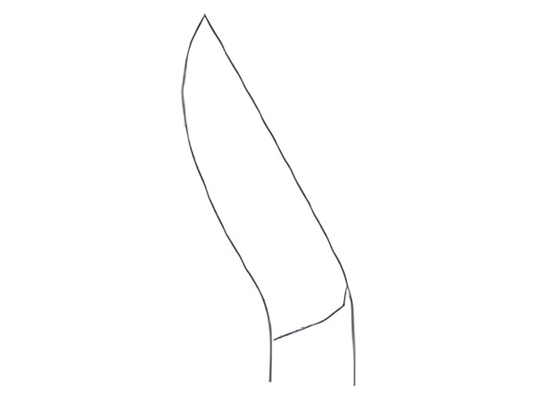 STILLE-LISTON BONE SCISSORS 23CM | karaoglucerrahi.com.tr